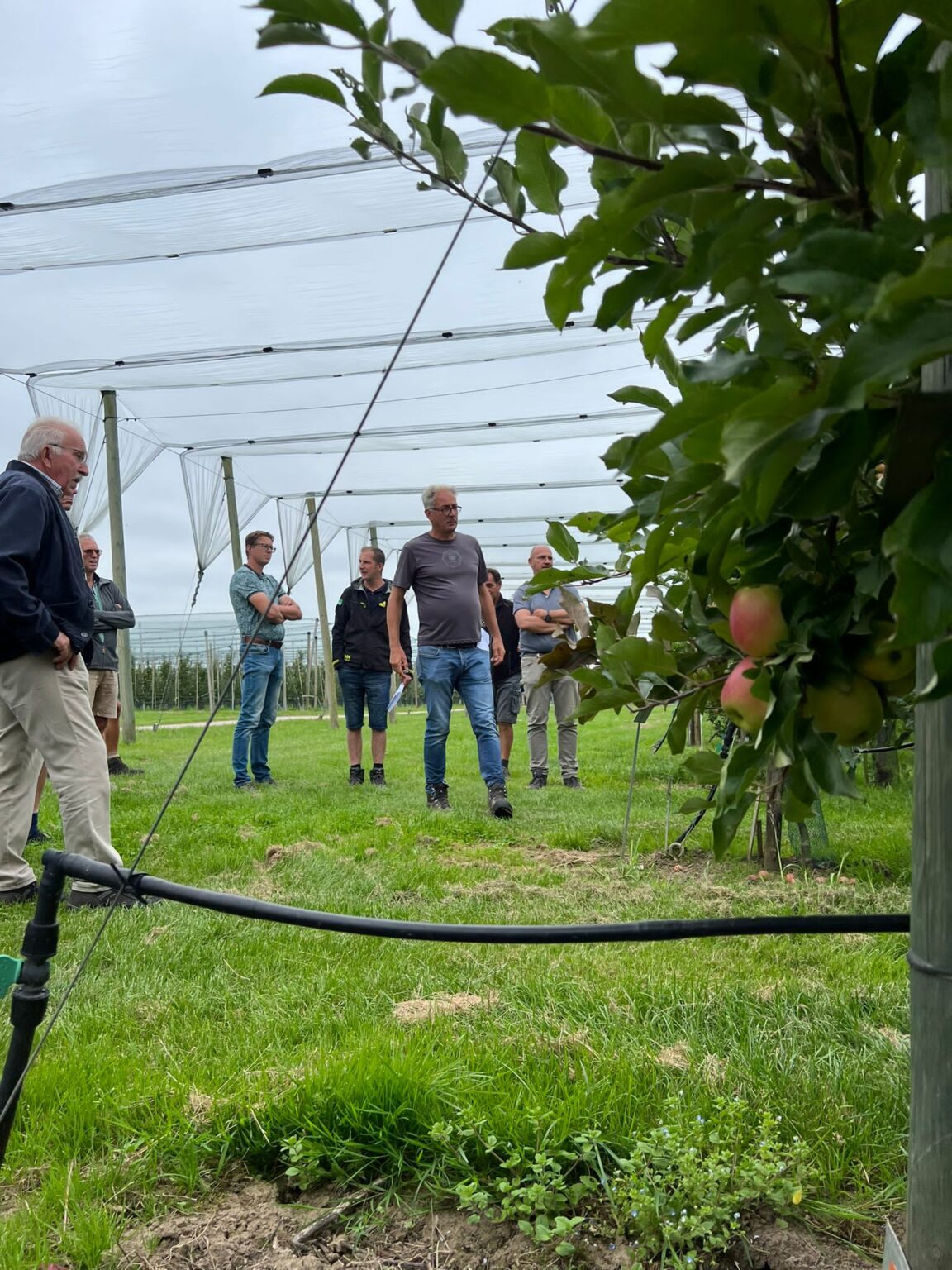 Open dag Proeftuin Randwijk in volle gang - Nederlandse Fruittelers ...